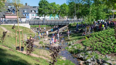 Unsere TOP 5 Wittlich Stadt | Tourismus